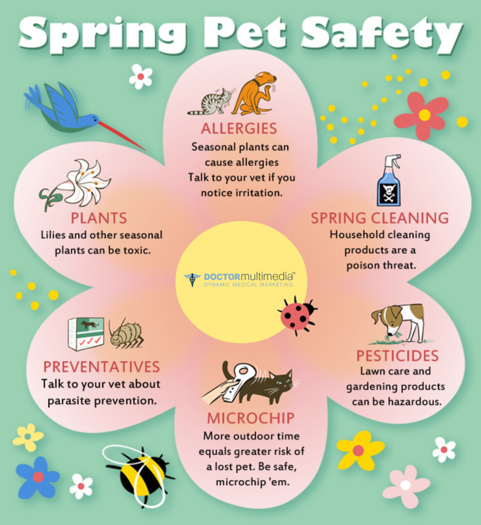 Spring Pet Care Safety | Hot Springs Animal Hospital